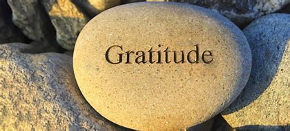 The Power of Gratitude | John Fischer The Catch